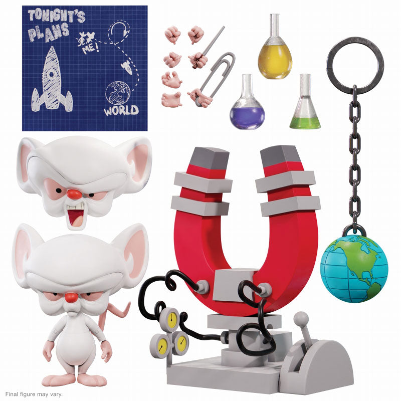 Animaniacs / Brain Ultimate Action Figure - Solaris Japan