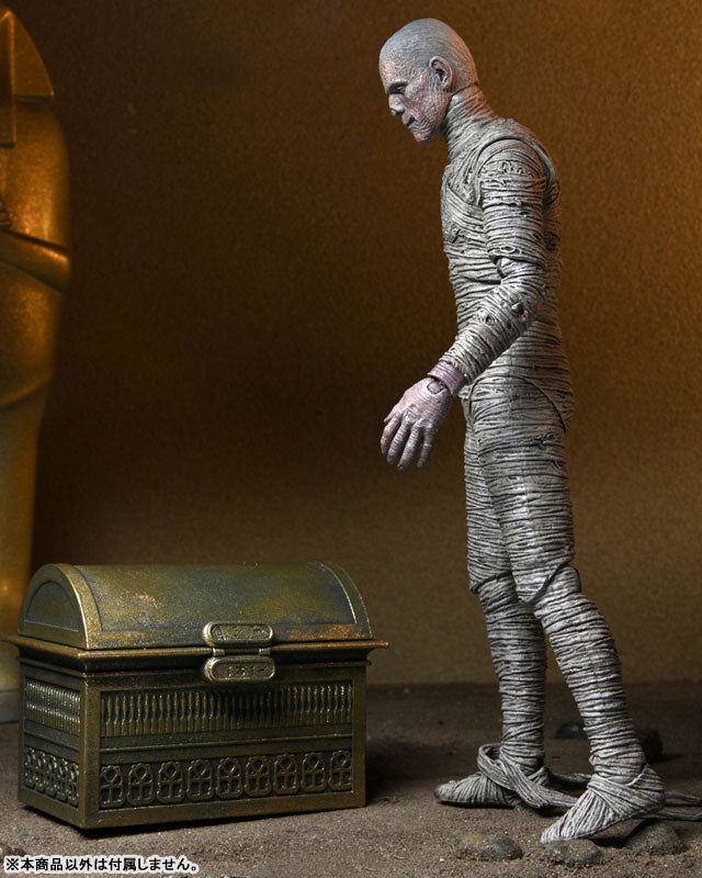 Universal Monster / The Mummy The Mummy: 7 Inch Action Figure Accessor ...