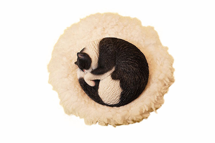 1/6 Cat Indulging in a Nap 3.0 D - Solaris Japan