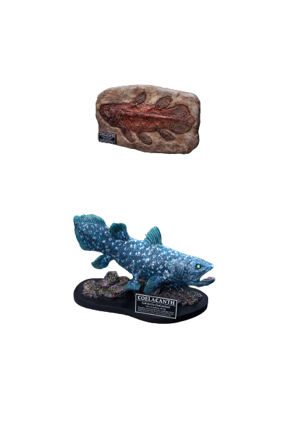 Wonders Of The Wild - Coelacanth - Polyresin Statue - DX Edition (Star ...