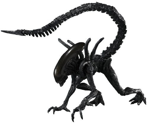 Alien Vs Predator - Alien Warrior - S.H.MonsterArts (Bandai) - Solaris ...