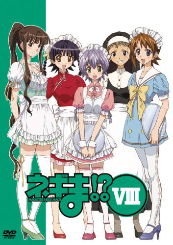 Negima !? 8 - Solaris Japan