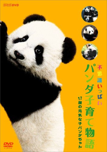 Bamboo Blade DVD Vol.7 - Solaris Japan
