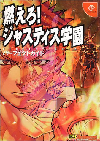Project Justice Perfect Guide Book / Dc - Solaris Japan