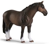 Hanoverian Stallion - Solaris Japan