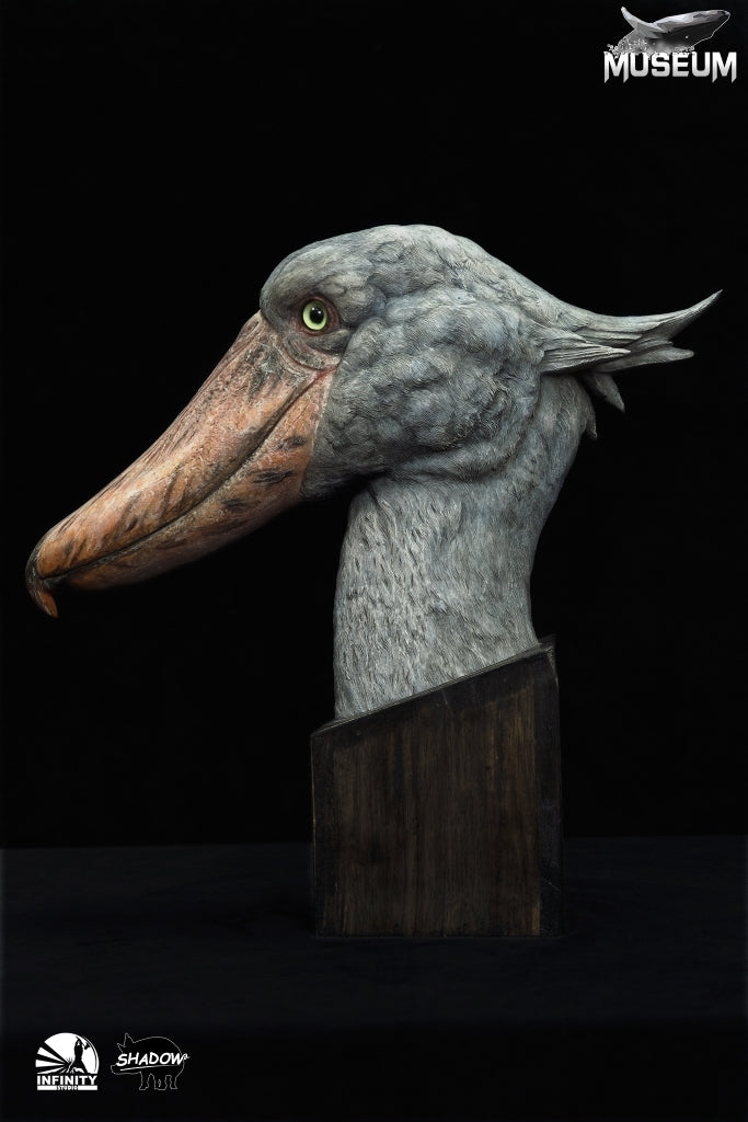 Infinity Studio Museum Series 1/1 Balaeniceps Rex Statue - Solaris Japan