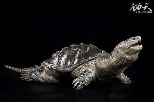 Alligator Snapping Turtle Statue - Solaris Japan