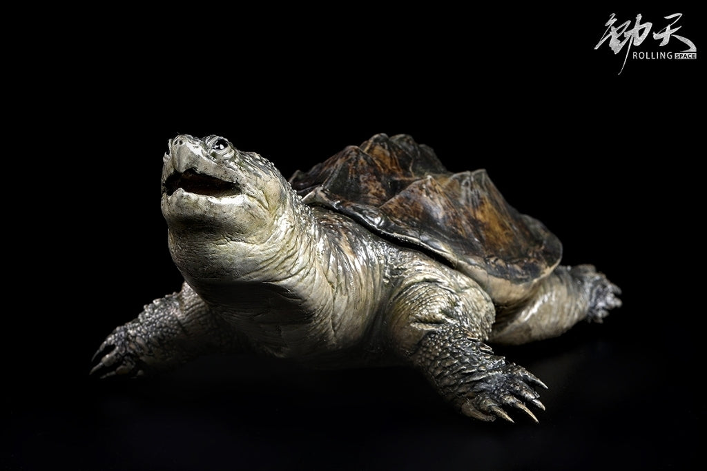 Alligator Snapping Turtle Statue - Solaris Japan
