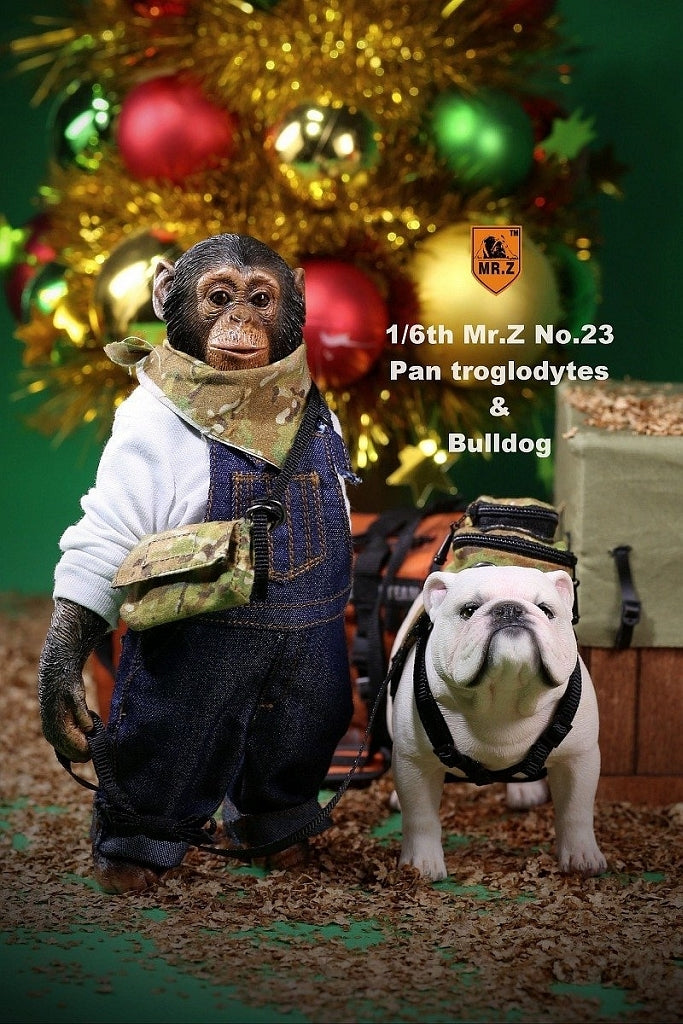 1/6 Chimpanzee & Bulldog Statue - Solaris Japan