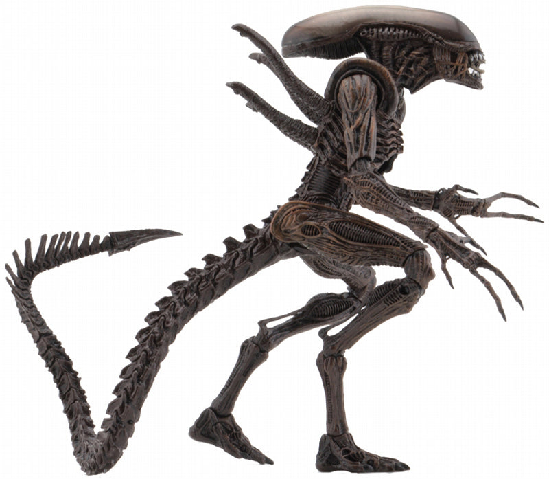 Alien / 7 Inch Action Figure Series 14 Alien 4: Alien Warrior - Solaris ...