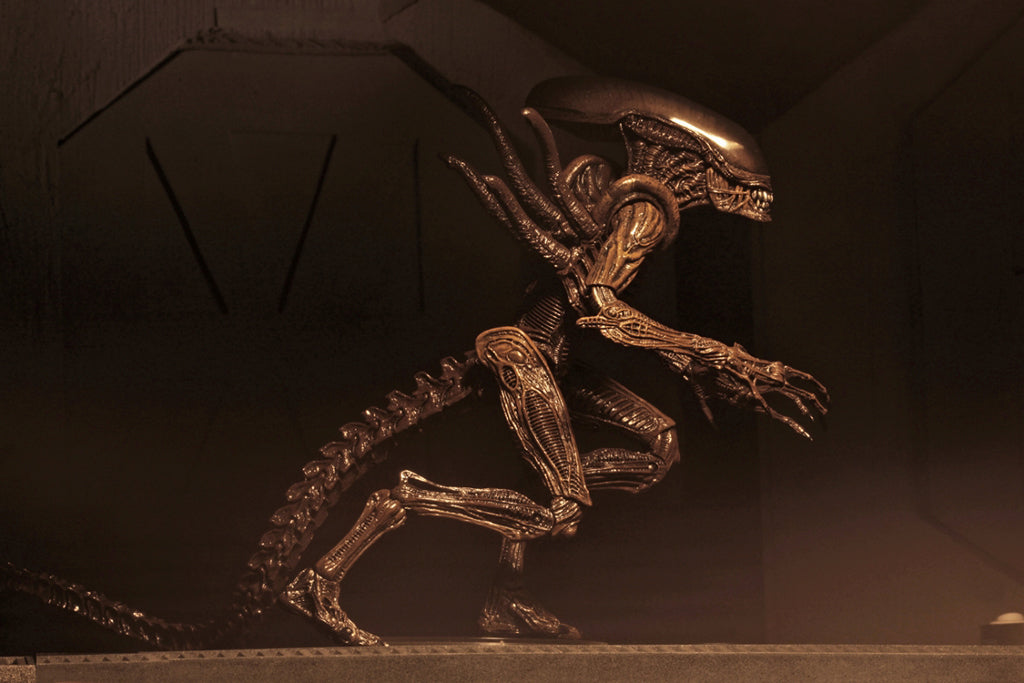 Alien / 7 Inch Action Figure Series 14 Alien 4: Alien Warrior - Solaris ...