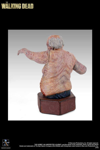 The Walking Dead - Mini Bust: Well Walker - Solaris Japan