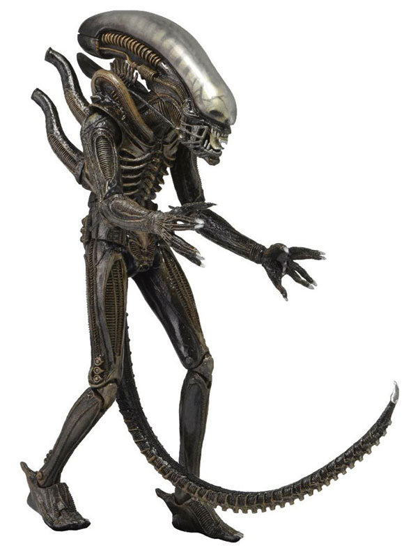 Alien 7 Inch Action Figure Series 2 Set of 2 Types - Solaris Japan