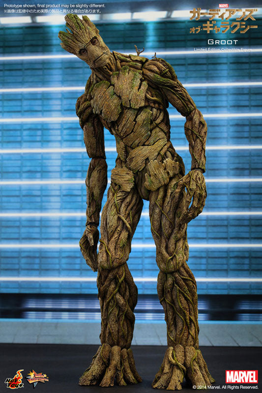 Movie Masterpiece - Guardians of the Galaxy 1/6 Scale Figure: Groot ...