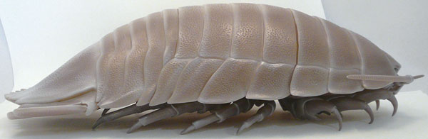 Nature Techni Bathynomus giganteus Figure - Solaris Japan