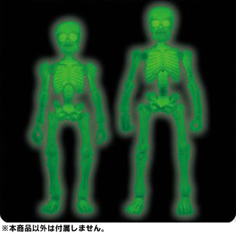 Pose Skeleton Human Color Series - Human 03 Big Person: Moonlight (Pho ...