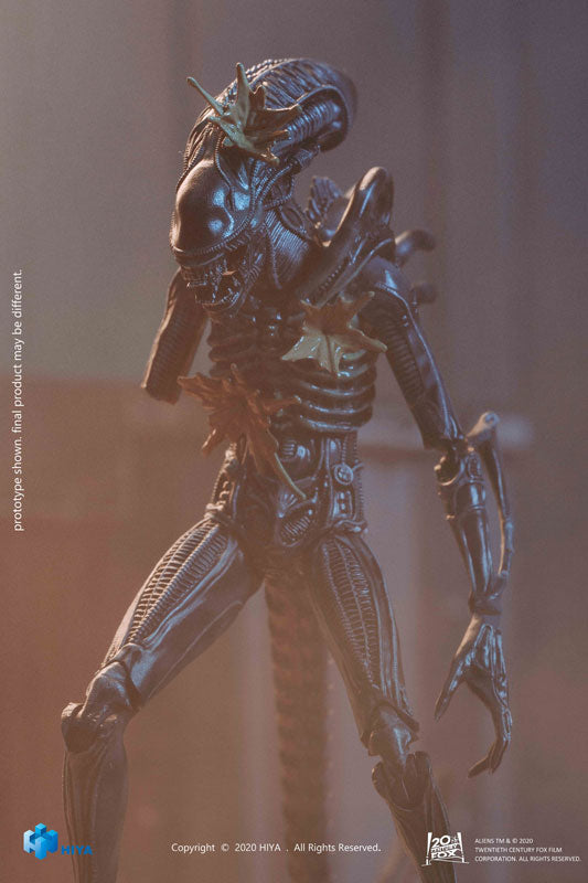 Aliens 1/18 Action Figure Battle Damaged Alien Warrior - Solaris Japan