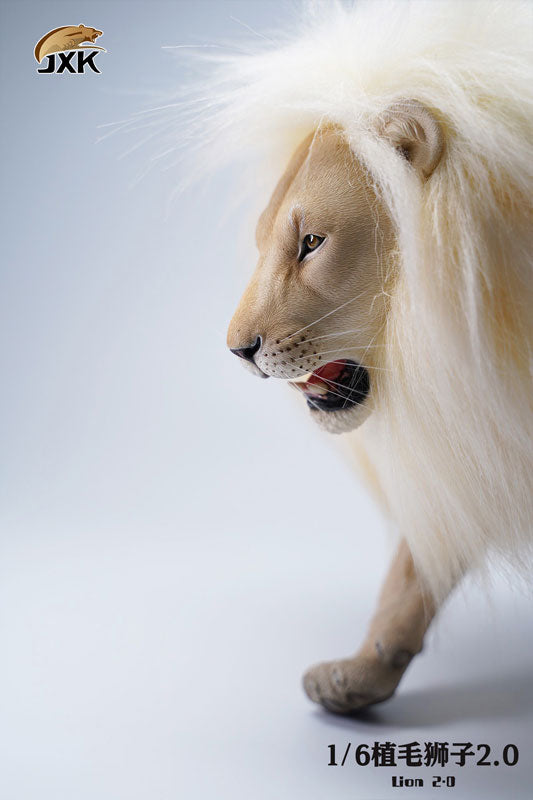 1/6 Lion 2.0 B - Solaris Japan