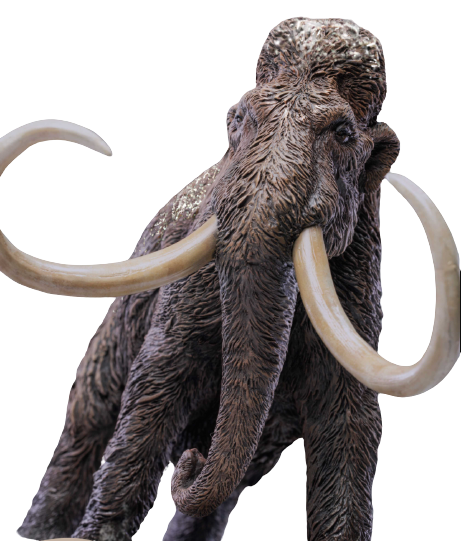 Wonders of the Wild Series - Woolly Mammoth (Star Ace Toys) - Solaris Japan